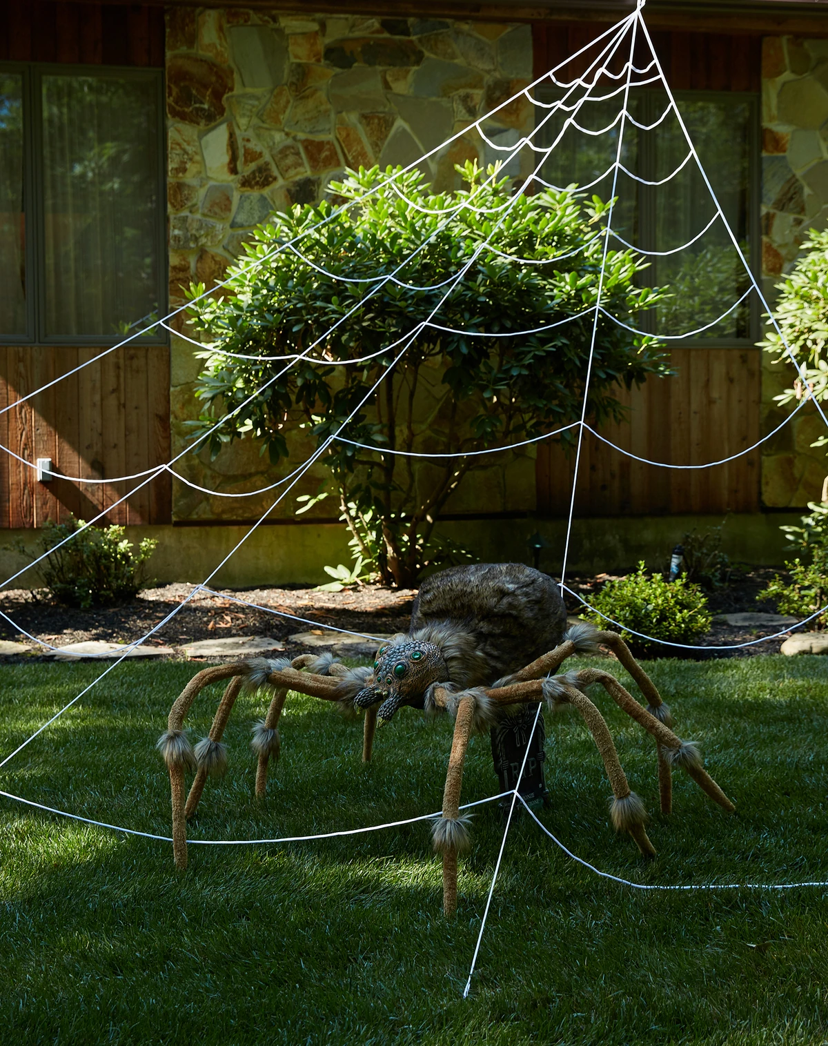Mega Spider Web | Spirit Halloween Wikia | Fandom