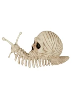 Skeleton Skull Snail | Spirit Halloween Wikia | Fandom