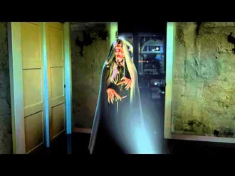 Witching Hour DVD | Spirit Halloween Wikia | Fandom