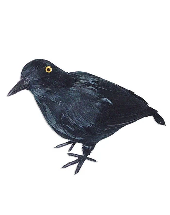 Black Crow with Folded Wings | Spirit Halloween Wikia | Fandom