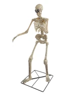 Grim | Spirit Halloween Wikia | Fandom