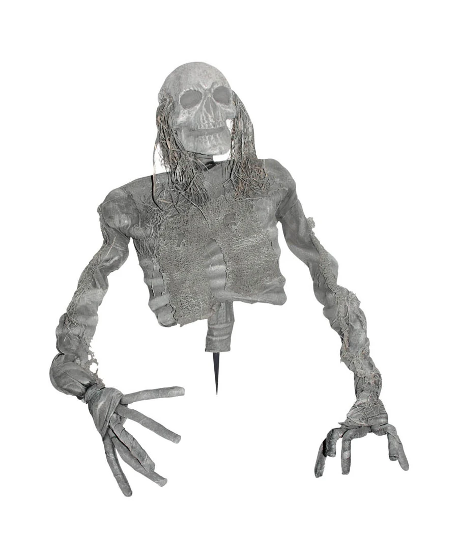 Rotten Skeleton Torso | Spirit Halloween Wikia | Fandom