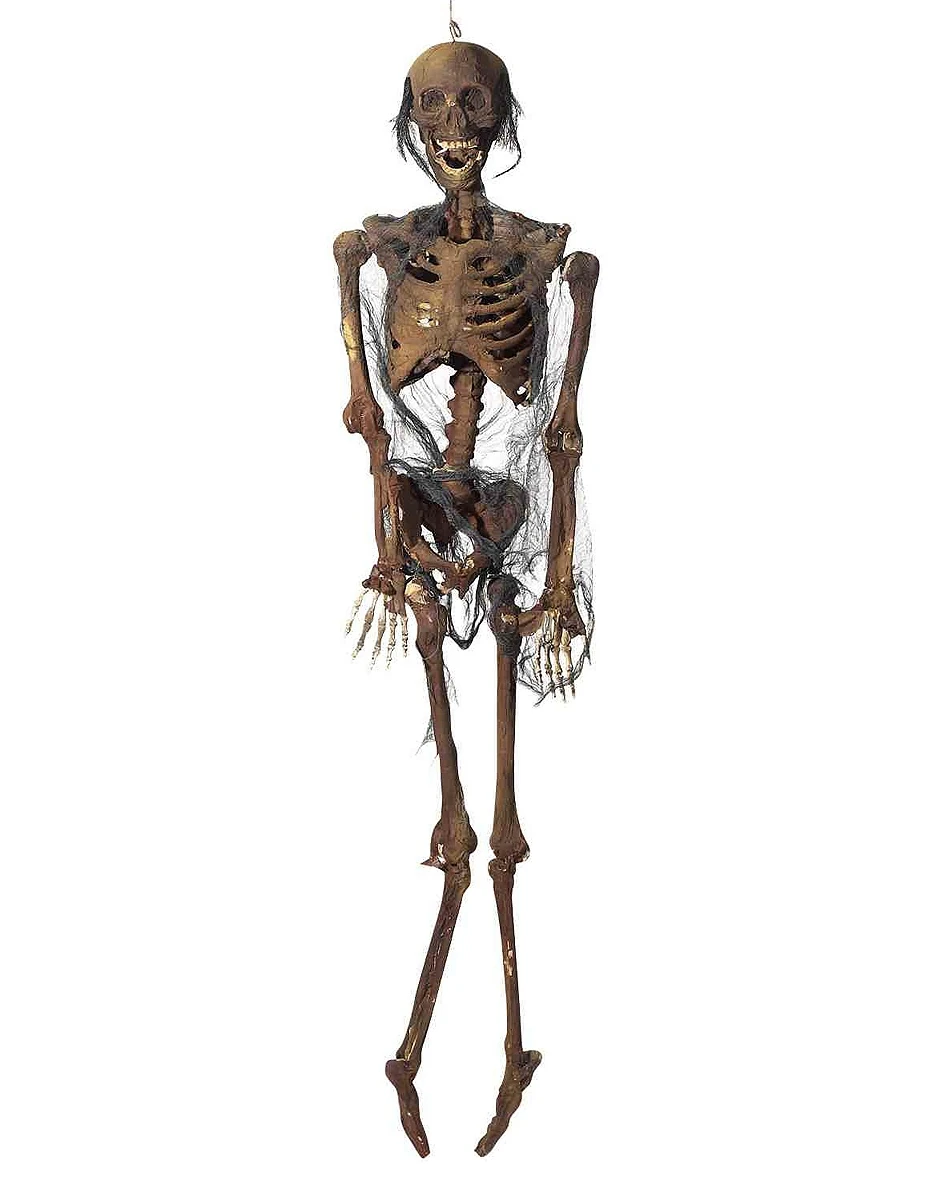 Light Up Hanging Rotted Zombie Corpse | Spirit Halloween Wikia | Fandom