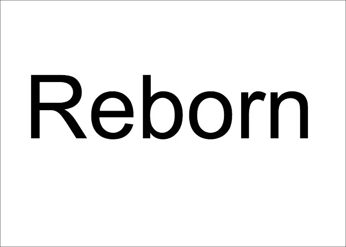 Reborn | Spirit Quest Wiki | Fandom