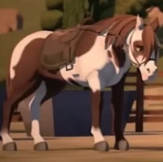 Boomerang | Spirit Wiki | Fandom