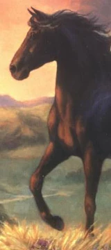 Spirit Stallion Of The Cimarron Esperanza And Strider