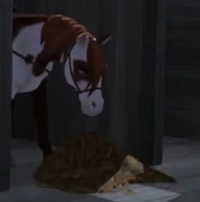 Boomerang | Spirit Wiki | Fandom