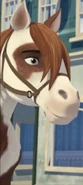 Boomerang | Spirit Wiki | Fandom