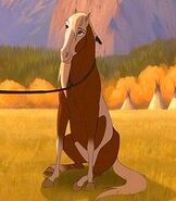 Rain | Spirit Wiki | Fandom