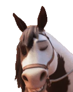 Boomerang | Spirit Wiki | Fandom