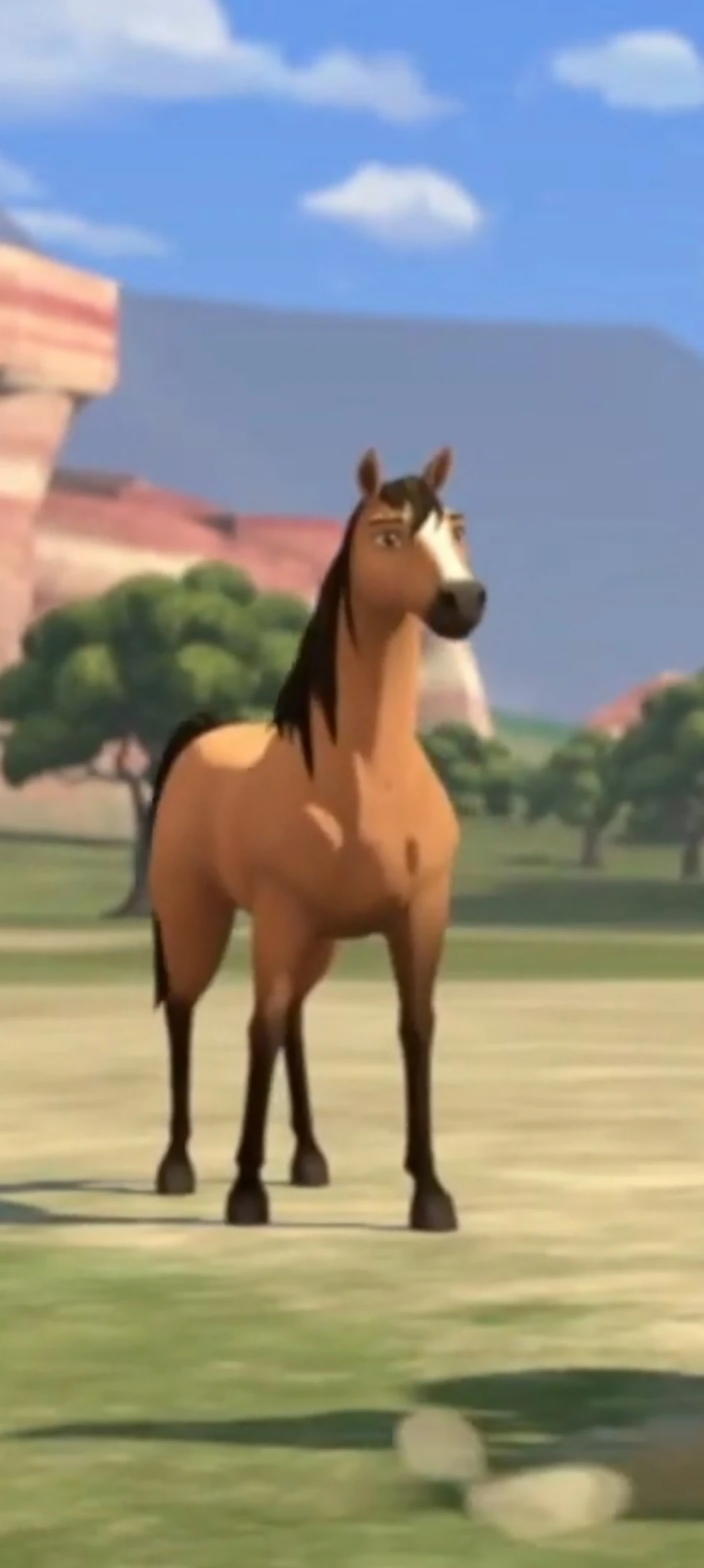 Spirit Stallion Of The Cimarron Spirits Father