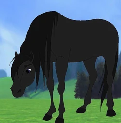 Spirit Stallion Of The Cimarron Strider