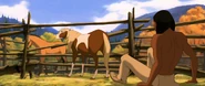 Rain | Spirit Wiki | Fandom