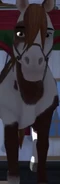 Boomerang | Spirit Wiki | Fandom