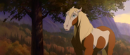 Rain | Spirit Wiki | Fandom