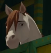Boomerang | Spirit Wiki | Fandom