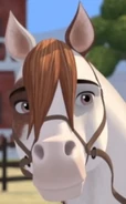 Boomerang | Spirit Wiki | Fandom