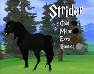 Strider | Spirit Wiki | Fandom