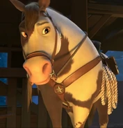Boomerang | Spirit Wiki | Fandom
