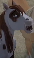 Boomerang | Spirit Wiki | Fandom