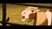 Rain | Spirit Wiki | Fandom