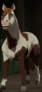 Boomerang | Spirit Wiki | Fandom