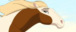 Spirit Stallion Of The Cimarron Rains Parents