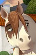 Boomerang | Spirit Wiki | Fandom