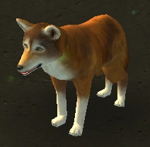 Red Wolf | Spirit Animals Wiki | Fandom