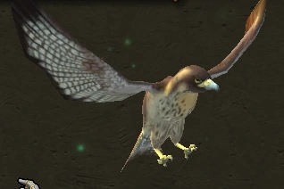 Hawk | Spirit Animals Wiki | Fandom