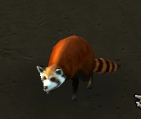 Red Panda | Spirit Animals Wiki | Fandom
