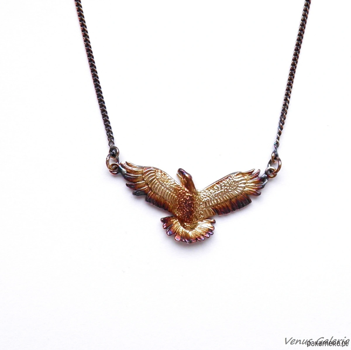 Brązowy Orzeł | Spirit Animals Wiki | Fandom