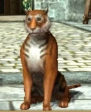 Tiger | Spirit Animals Wiki | Fandom