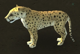 Cheetah | Spirit Animals Wiki | Fandom