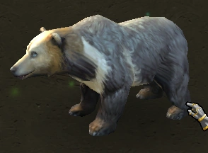 Blue Bear | Spirit Animals Wiki | Fandom