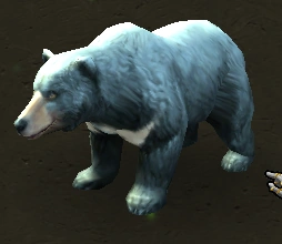 Moon Bear | Spirit Animals Wiki | Fandom