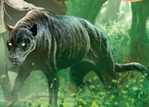 Elda | Spirit Animals Wiki | Fandom