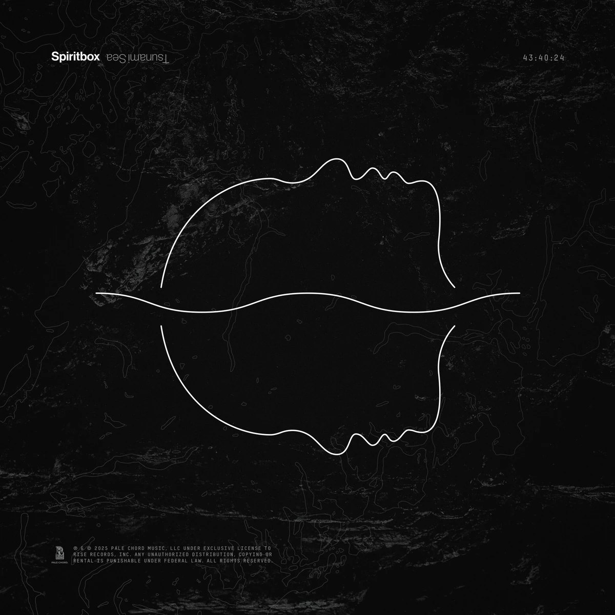 Soft Spine | Spiritbox Wiki | Fandom