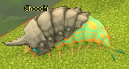 Choochi | Spirit.Tales Wiki | Fandom