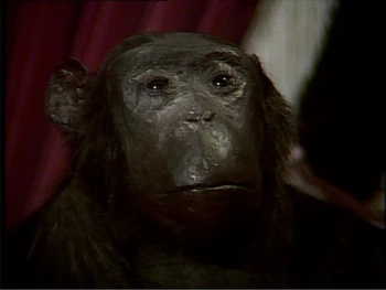 Bonzo | Spitting Image Wiki | Fandom