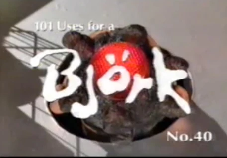 101 Uses for a Björk | Spitting Image Wiki | Fandom