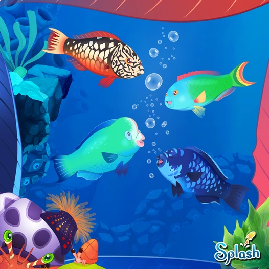 Coastal Parrotfish | Splash: Underwater Sanctuary Wiki | Fandom