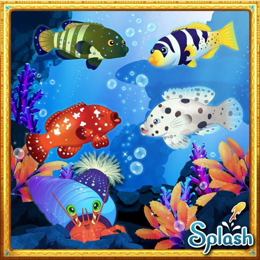 Mighty Groupers | Splash: Underwater Sanctuary Wiki | Fandom
