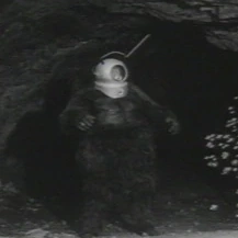 Lord TARTAR | Splat Tim Wikia | Fandom