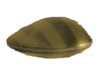 Clam (Decoration) | Splatoon Wiki | Fandom