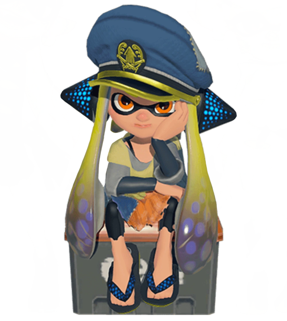 Splatoon's 10th anniversary is next week (May 28th, 2025), what do you ...