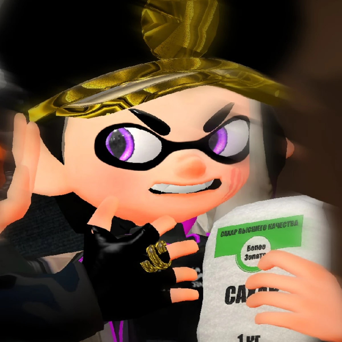 The Splatville-60 President / Gloria the Inkling | Splatville-60 Wiki | Fandom