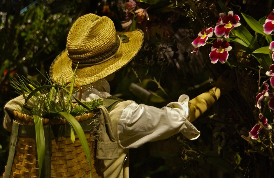 Novus Ordo Flowers | Splendor Man Wiki | Fandom