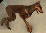 Guard dog | Splinter Cell Wiki | Fandom