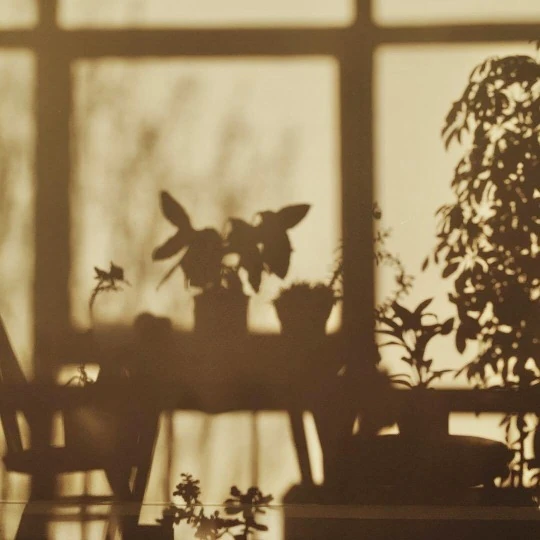 Raaga Kala | Split: Sun and Moon Wiki | Fandom